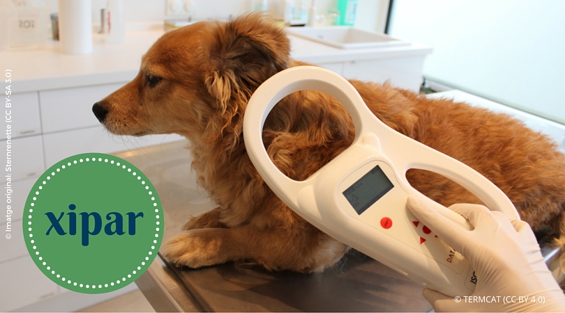 Xipar – El blog del TERMCAT