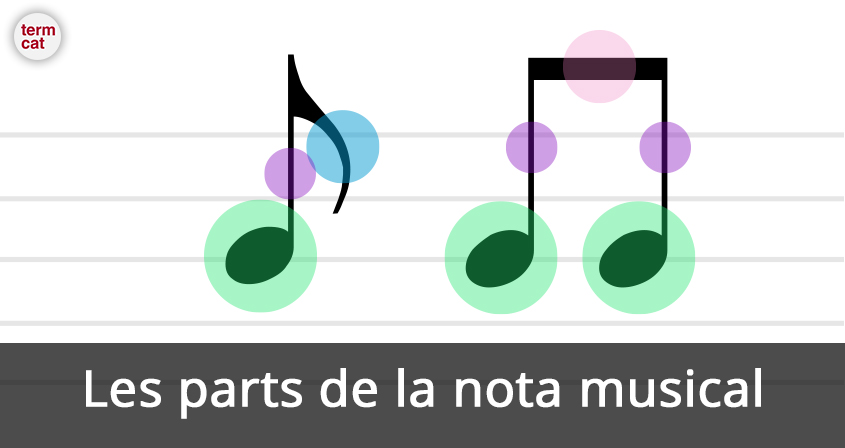 Les parts de la nota musical, en una nova infografia terminològica – El ...