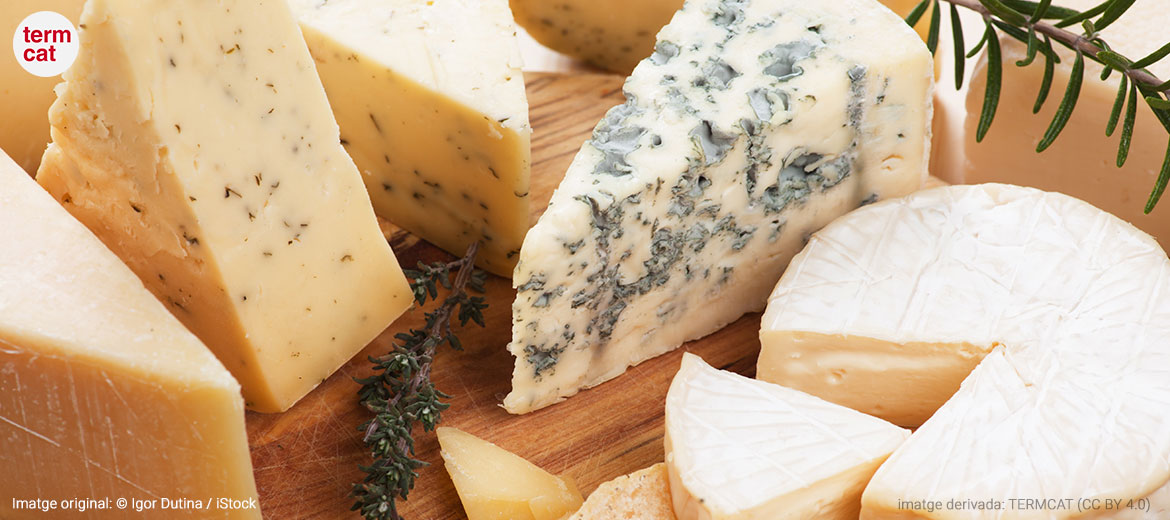 El TERMCAT publica el Diccionari de formatges, amb prop de 80 noms de ...